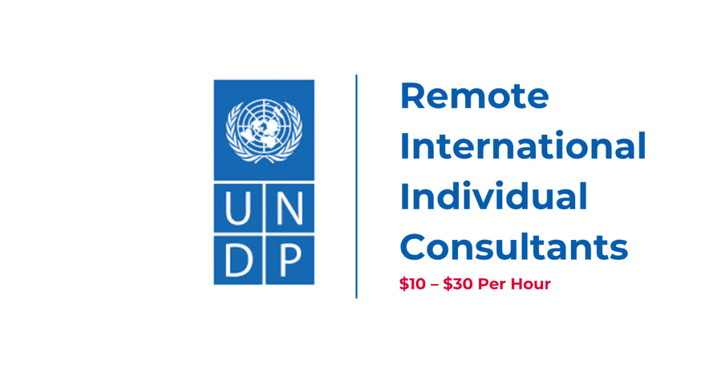 UNDP Calls for Applications: International Individual Consultants 2026 ...